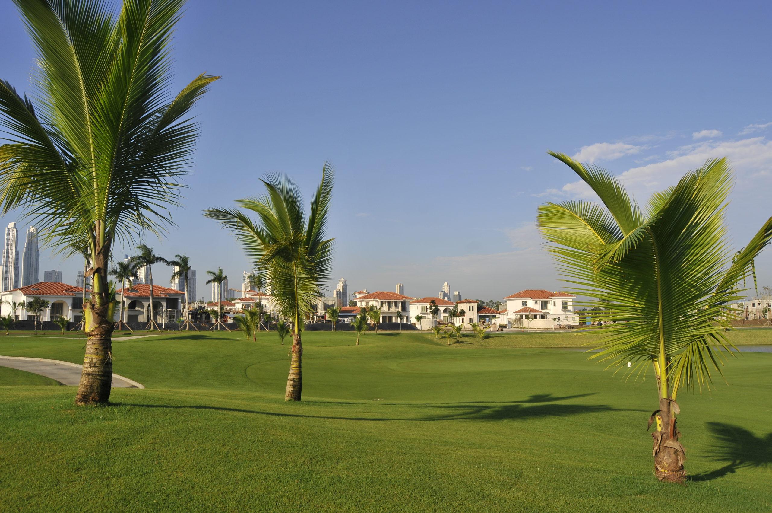 Panama Named Best for Digital Nomads –– Real Estate via Punta Pacifica ...