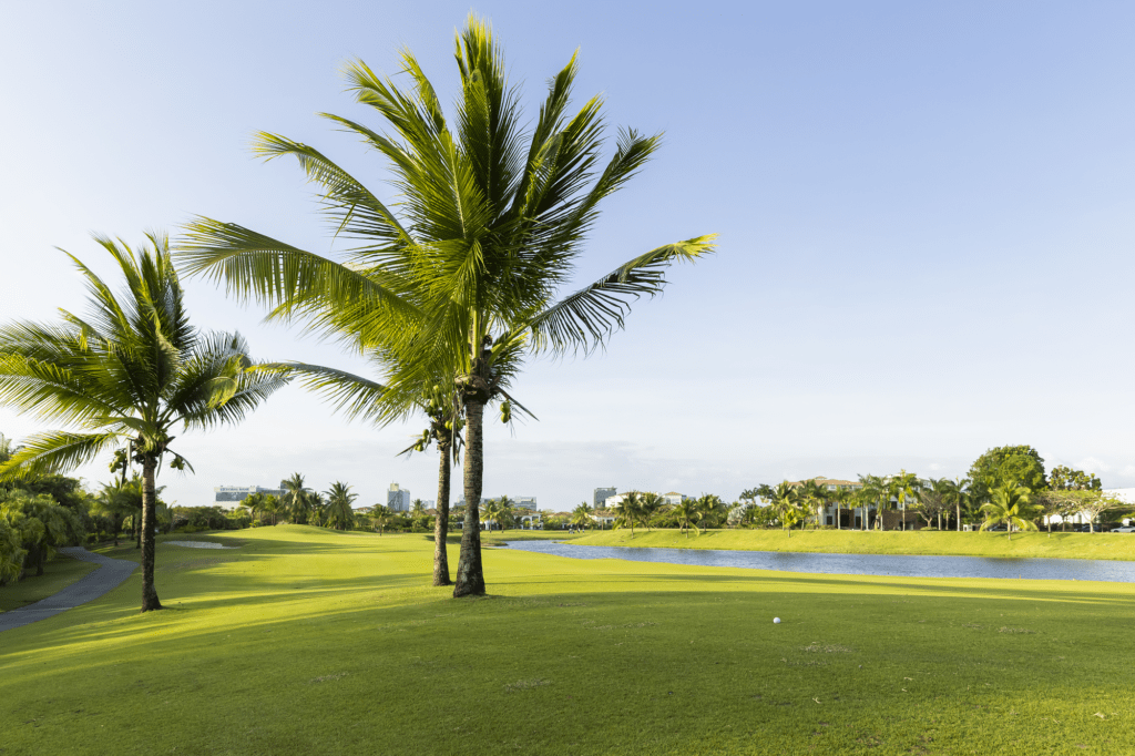 Panama Gets $150 Million for Green Infrastructure –– Real Estate via ...