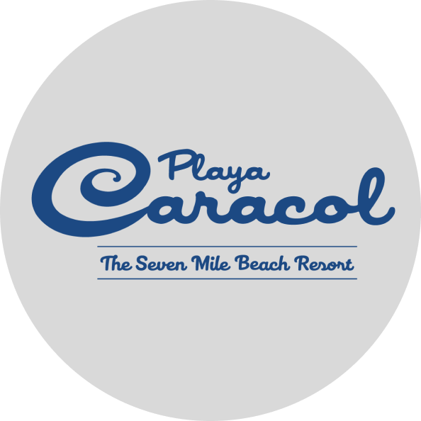 Playa Caracol Panama: Playa Caracol Beachfront Real Estate (condos) for ...